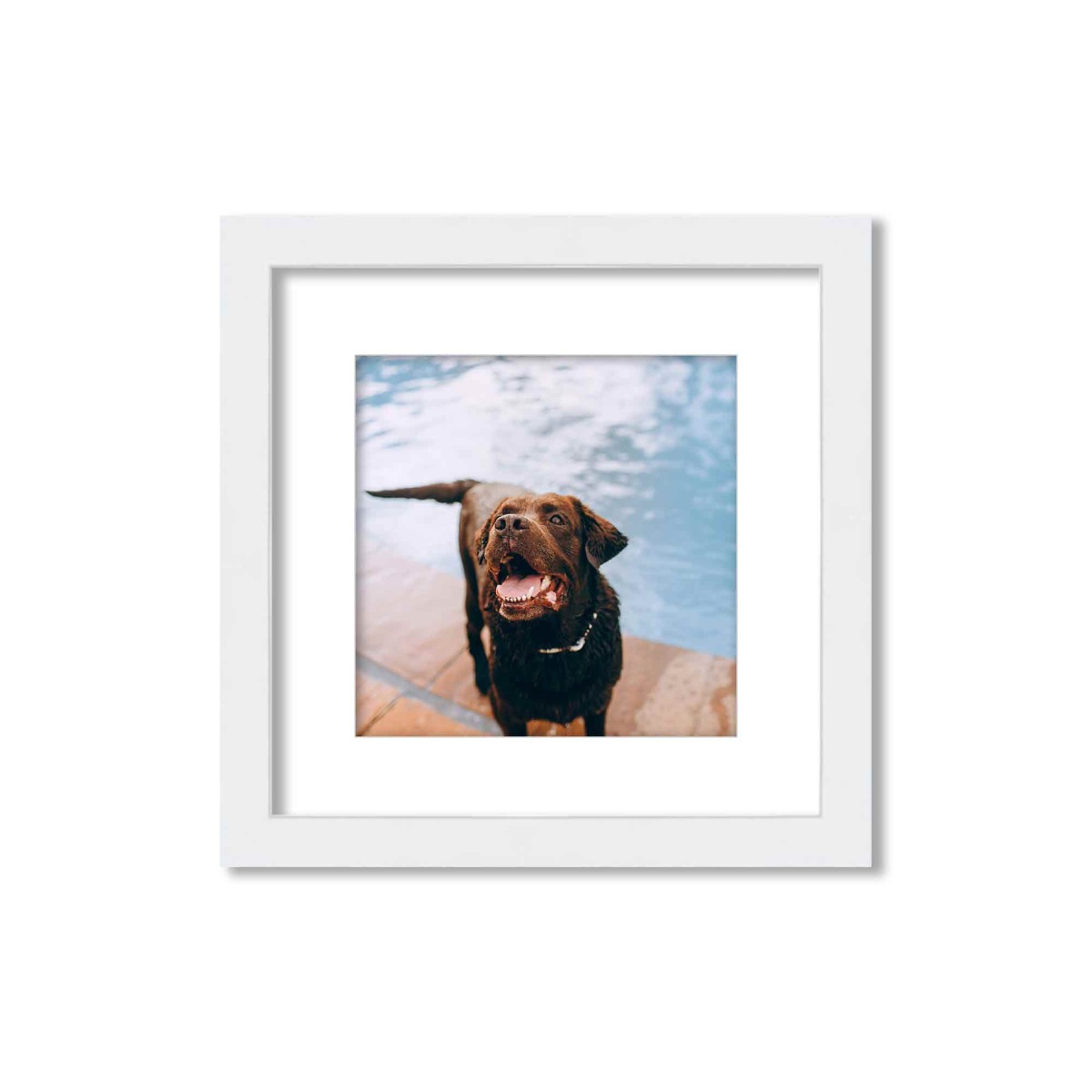 White Matted Instagram Photo Frames | CustomPictureFrames.com