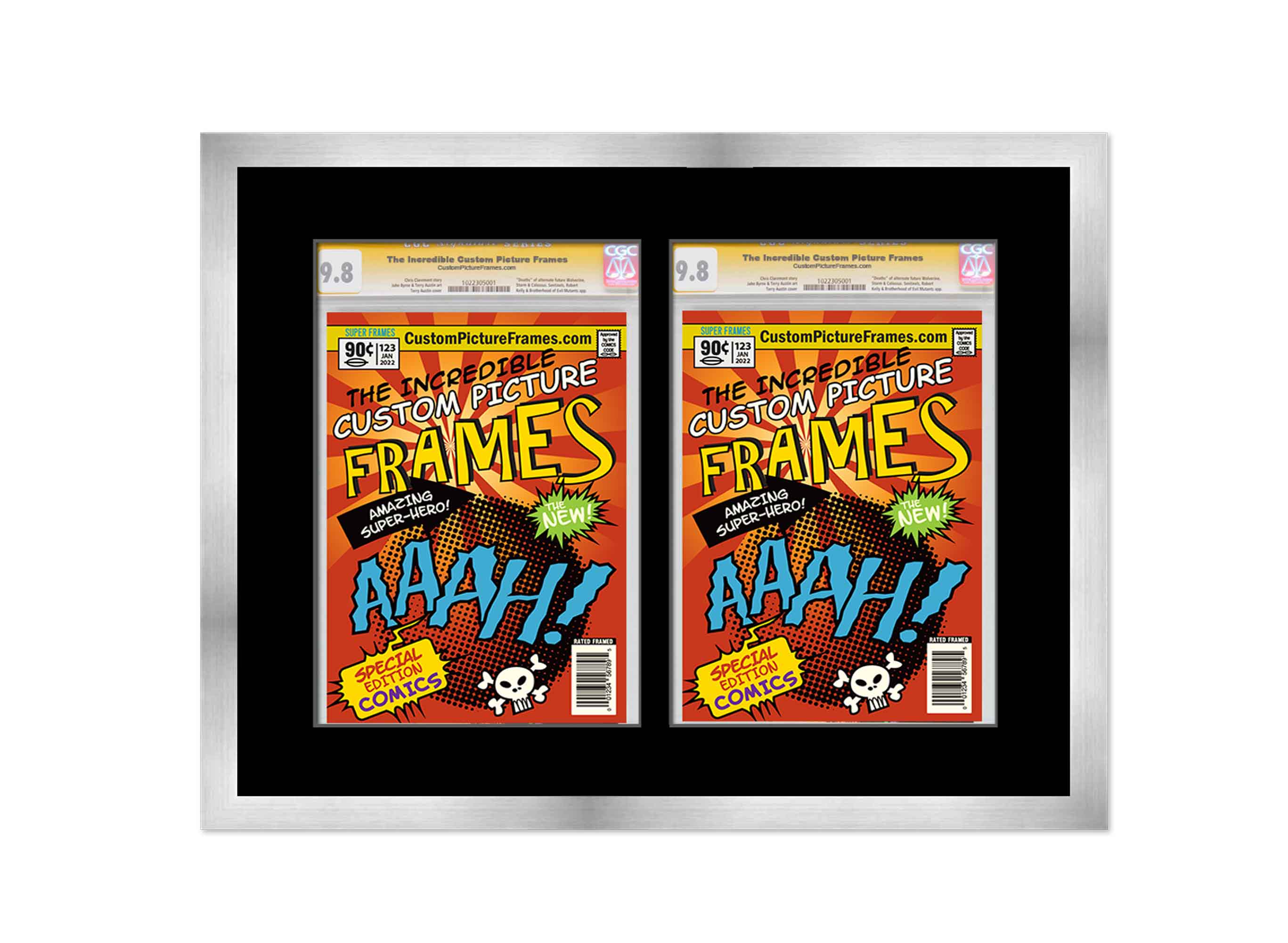 Silver Graded Comic Book Frame for 2 Comic Books | Frames for CGC, CBCS ...